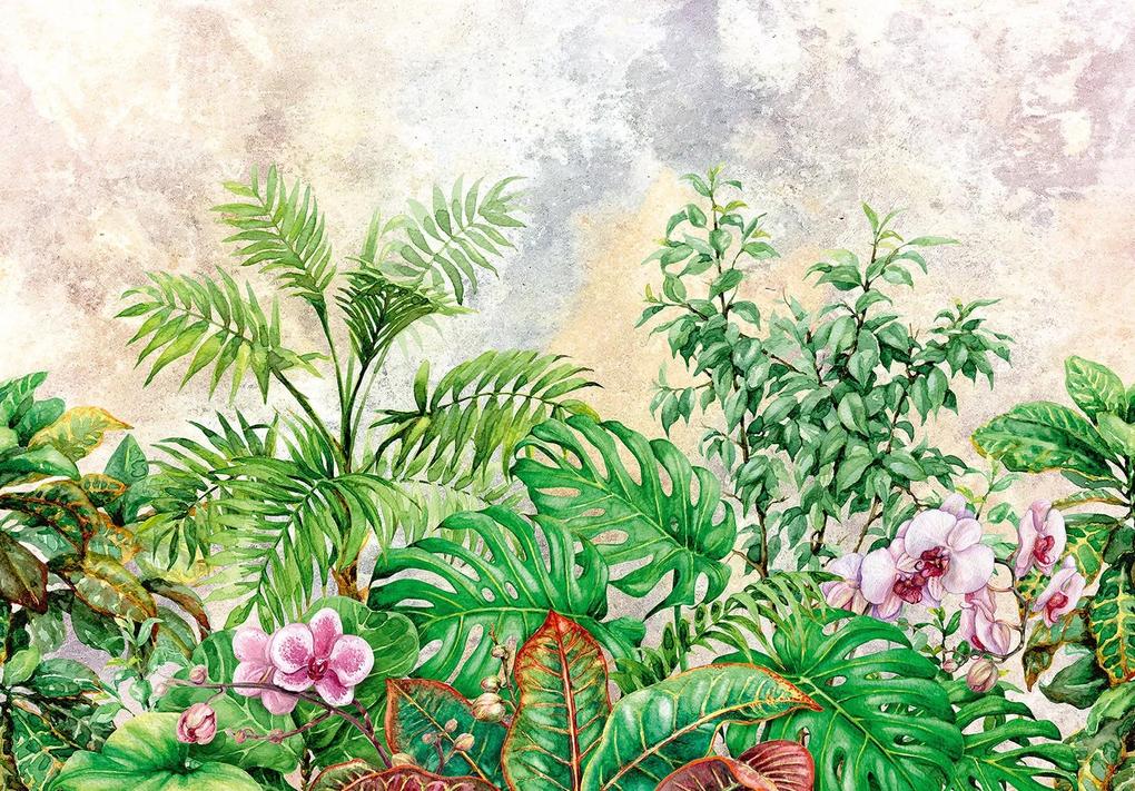 Postershop Fototapeta vliesová: Malované rostliny - 368x254 cm