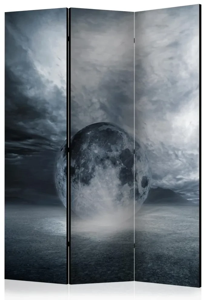 Paraván - The lost planet [Room Dividers] | BIANO