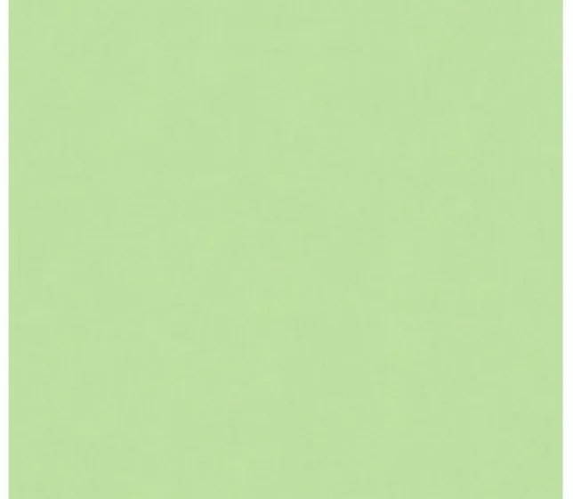 A.S. Création | 34248-6 tapety na zeď X-Ray | 0,53 x 10,05 m | zelená