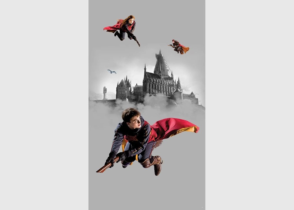 Dětská vliesová fototapeta na zed' Harry Potter Famfrpálové Trio | 150 x 270 cm | DFTD2P5613