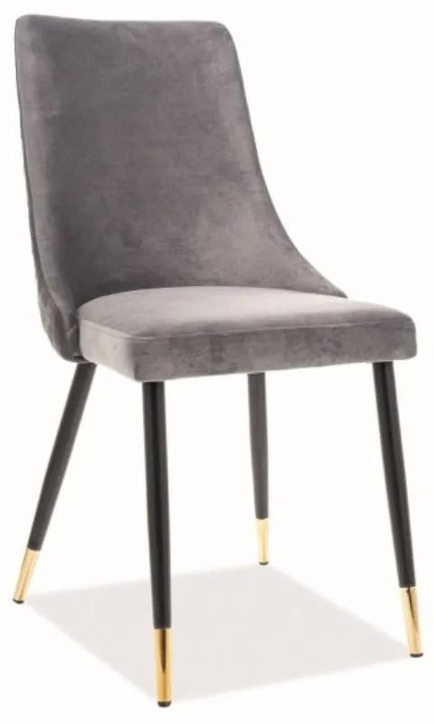 Jídelní židle Piano Velvet, šedá / černá