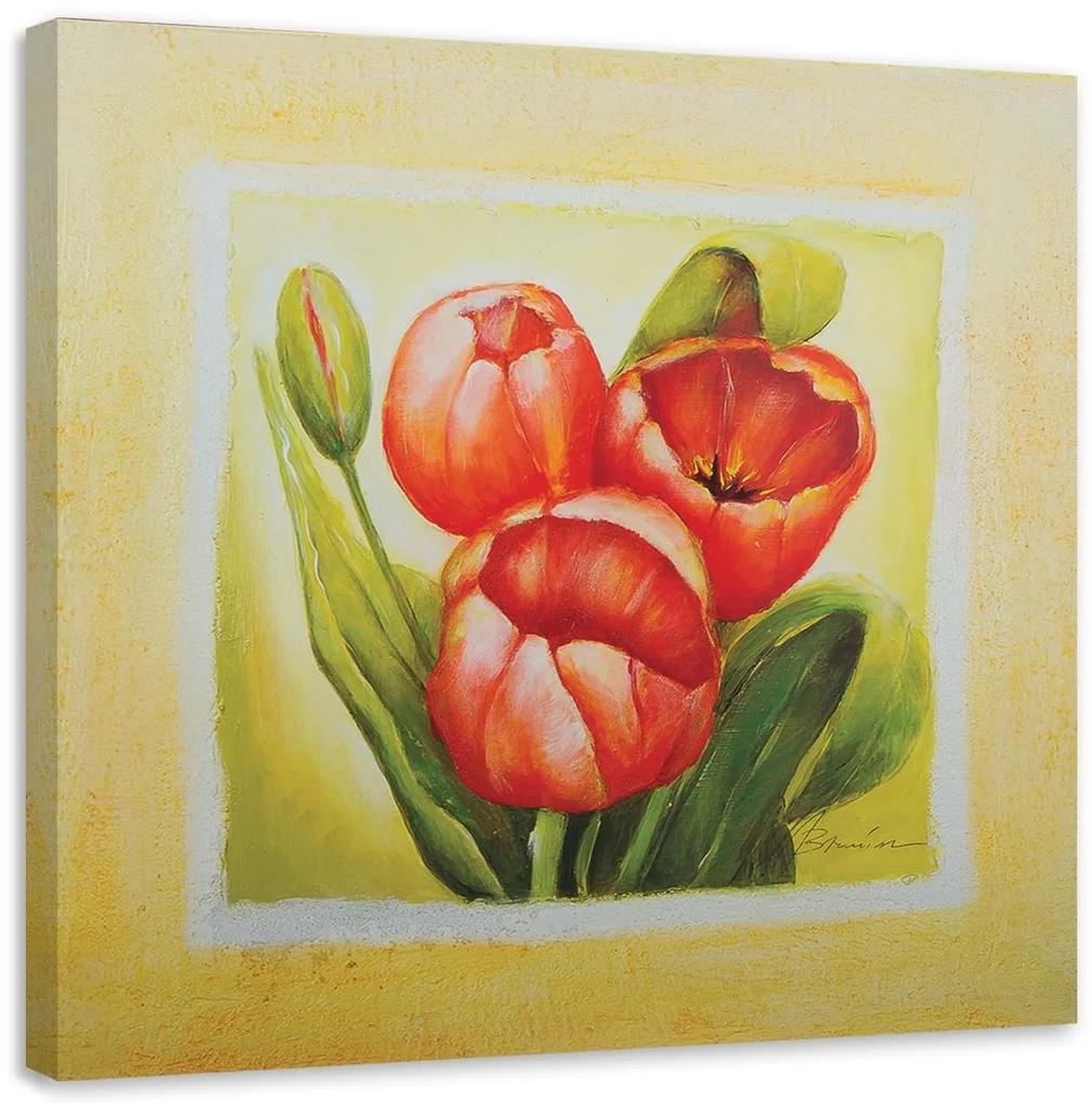 Obraz na plátně Červené tulipány Květiny - 30x30 cm