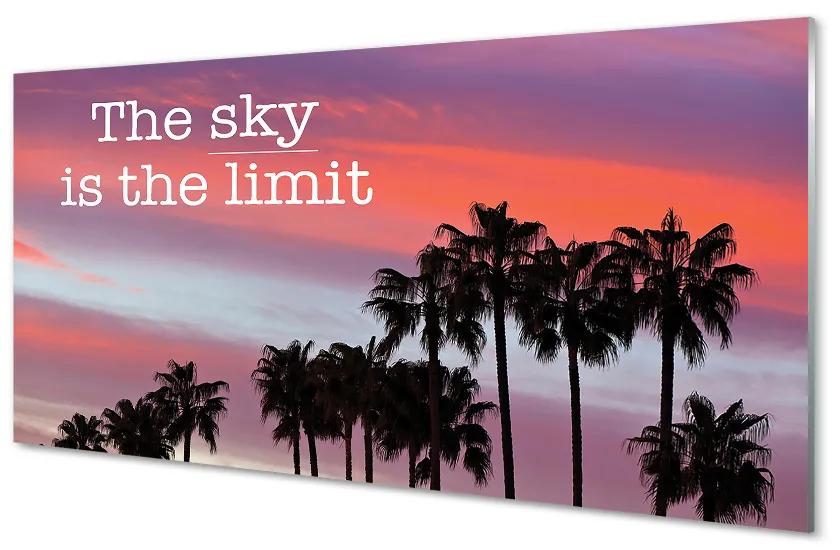 akrylový obraz Palm západu slunce 120x60 cm