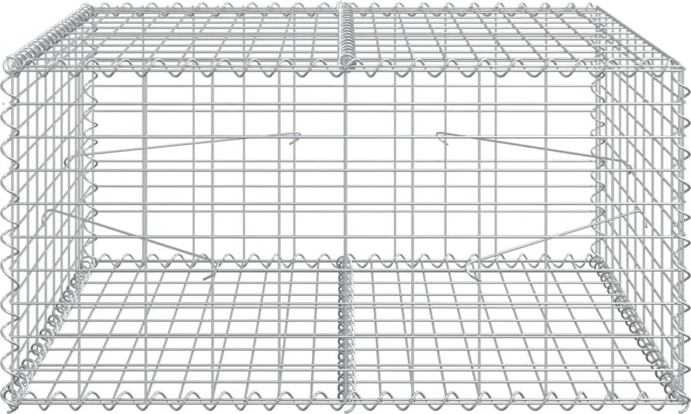 Gabionový koš s víkem 100 x 100 x 50 cm pozinkované železo 3295178