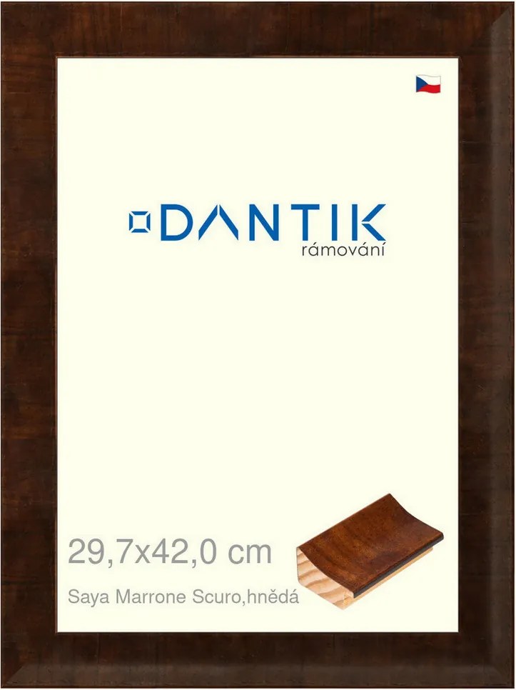 DANTIK rámeček 29,7x42 | Saya Marrone Scurohnědá (Plexi Čiré)