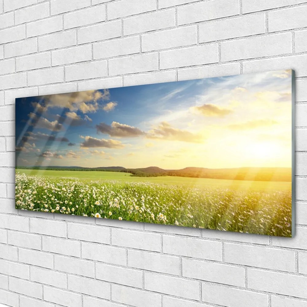 Plexisklo-obraz Louka Květiny Krajina 125x50 cm