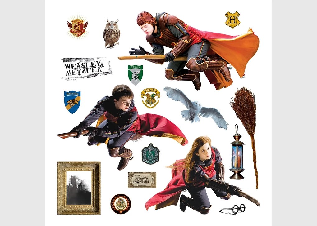Dětská samolepka na zeď Harry Potter | 30 x 30 cm | DDKS3829