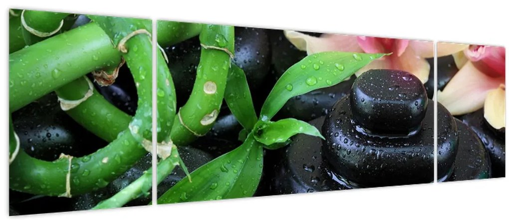 Obraz - Kameny a orchideje (170x50 cm)