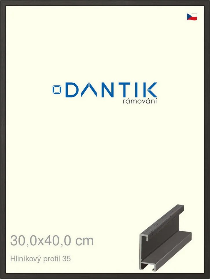 DANTIK rámeček 30x40 | ALU profil 6035 Dýha černá (Plexi Čiré)