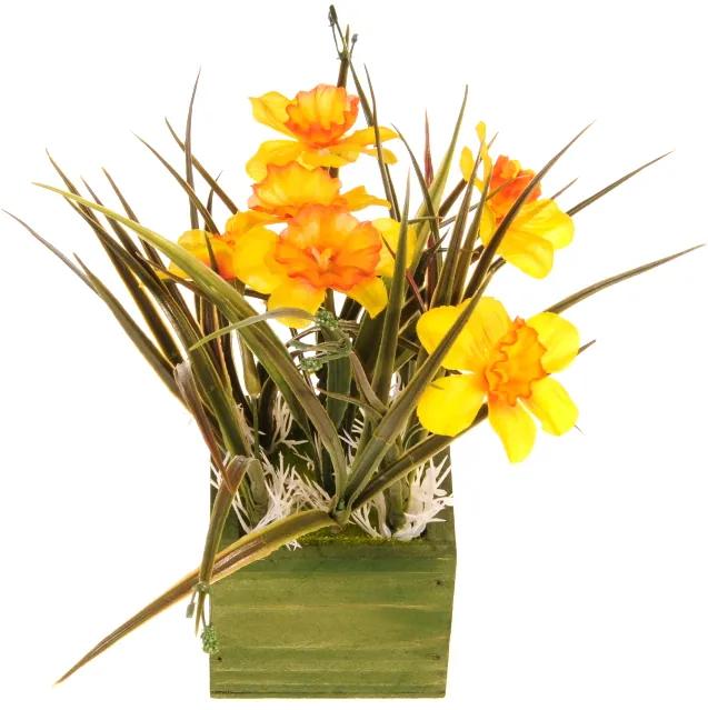 Narcis v květináči 9861