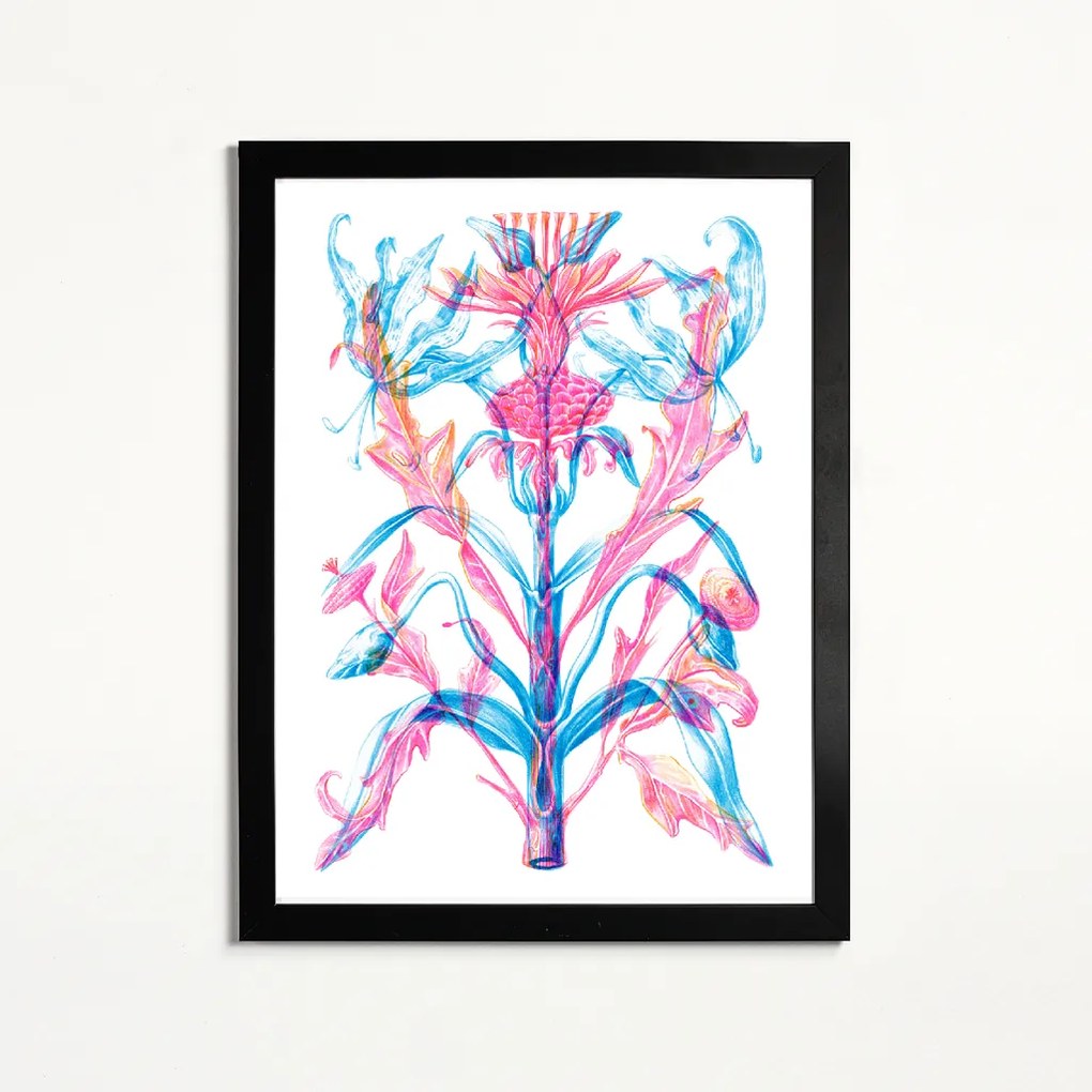 Filip Šenkeřík | Hybrid I – Liliantaurea Centaureum Rám: Bez rámu, Velikost: 100 x 70 cm