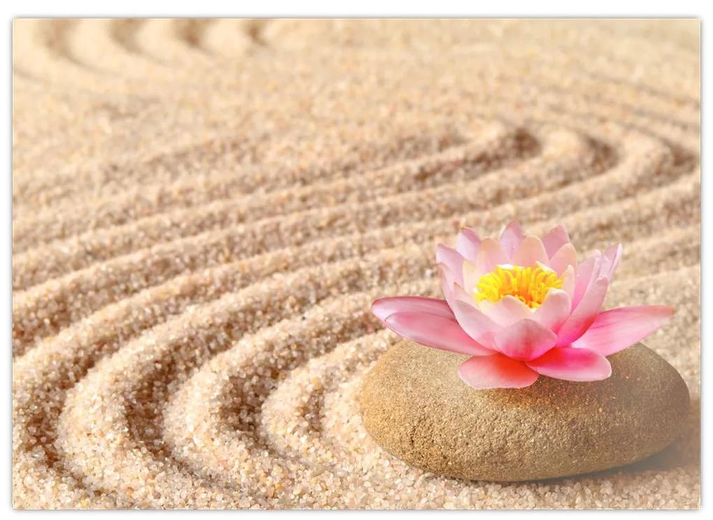 Obraz kamene s květinou na písku (70x50 cm)