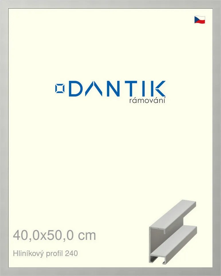 DANTIK rámeček 40x50 | ALU profil 6240 Stříbrná matná (Plexi Čiré)