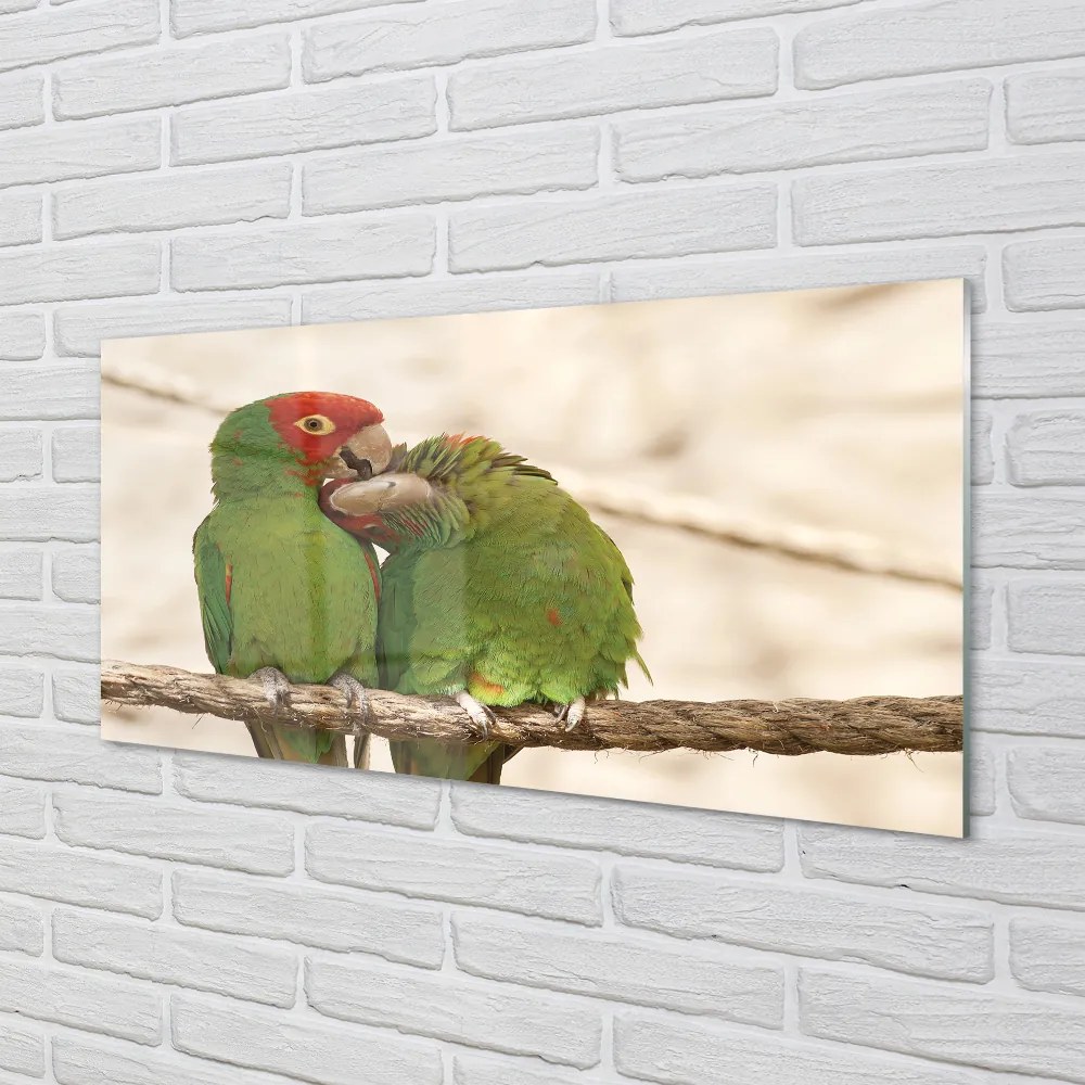 akrylový obraz zelené papoušci 100x50 cm
