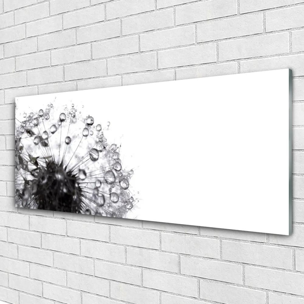 akrylový obraz Pampeliška Rostlina 125x50 cm