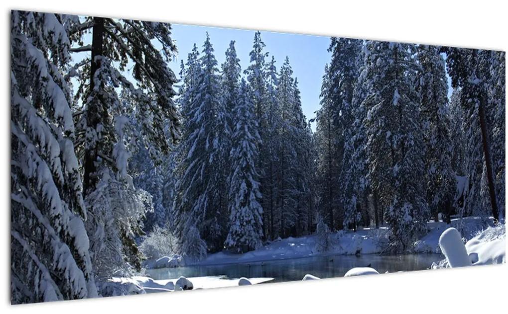 Obraz zasněženého lesa (100x40 cm), 40 dalších rozměrů