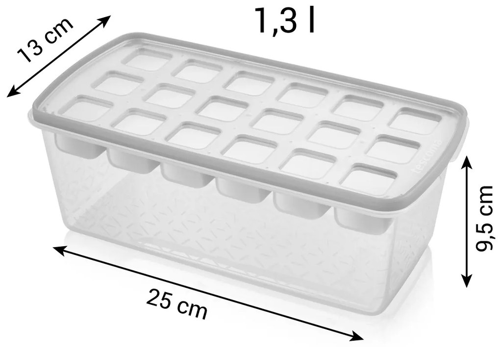 TESCOMA Tvořítko na led se zásobníkem myDRINK, kostky