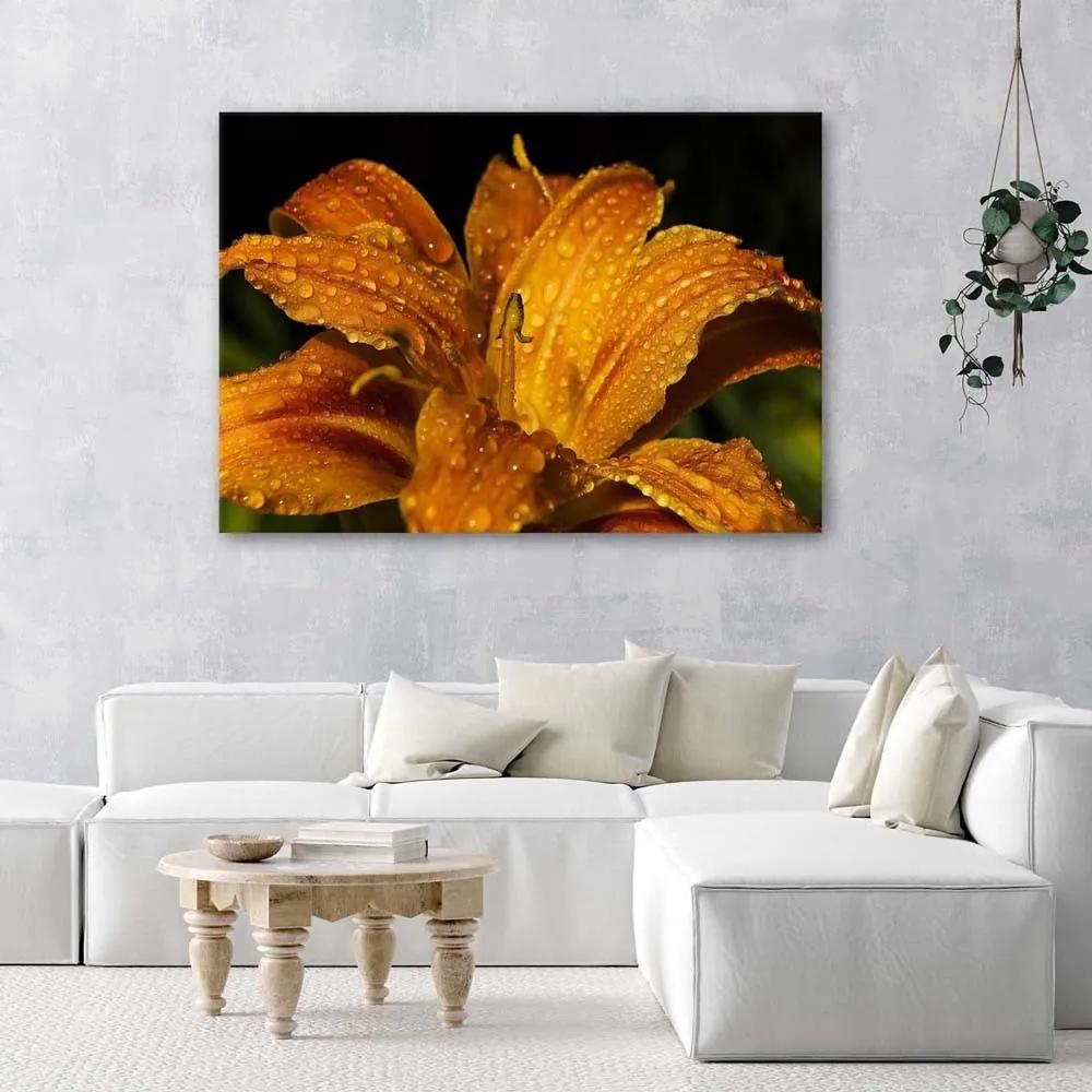Obraz na plátně Lilie Květina Zlatá příroda - 120x80 cm