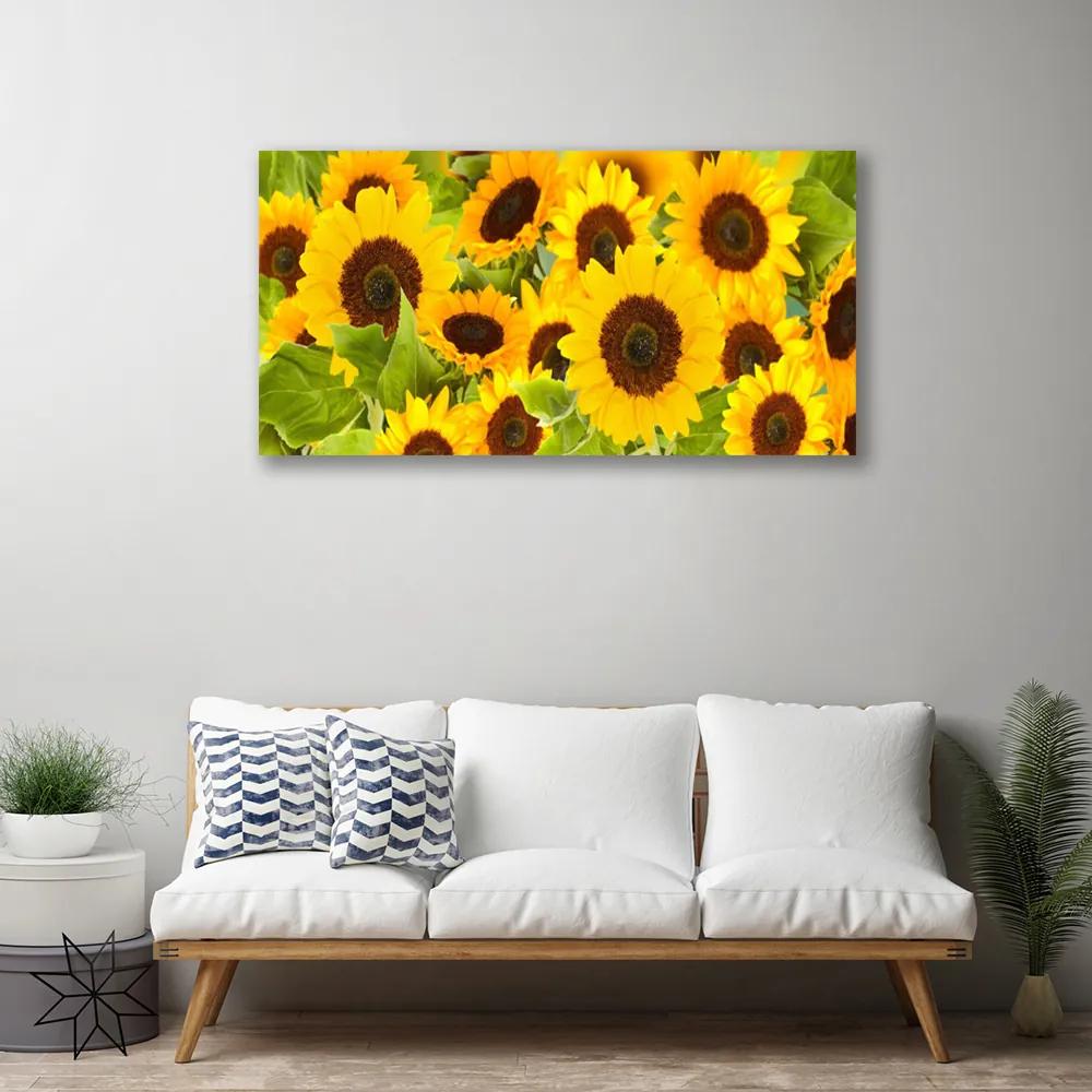 Obraz na plátně Slunečnice 125x50 cm