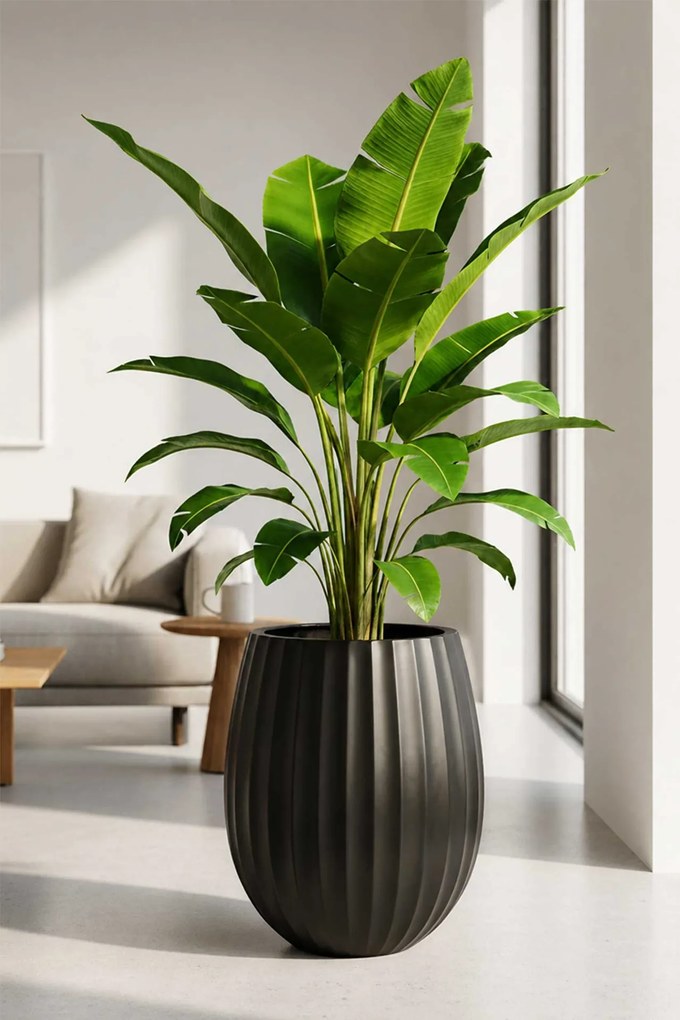 Designový květináč BALAO , sklolaminát, 50x39 cm, černá