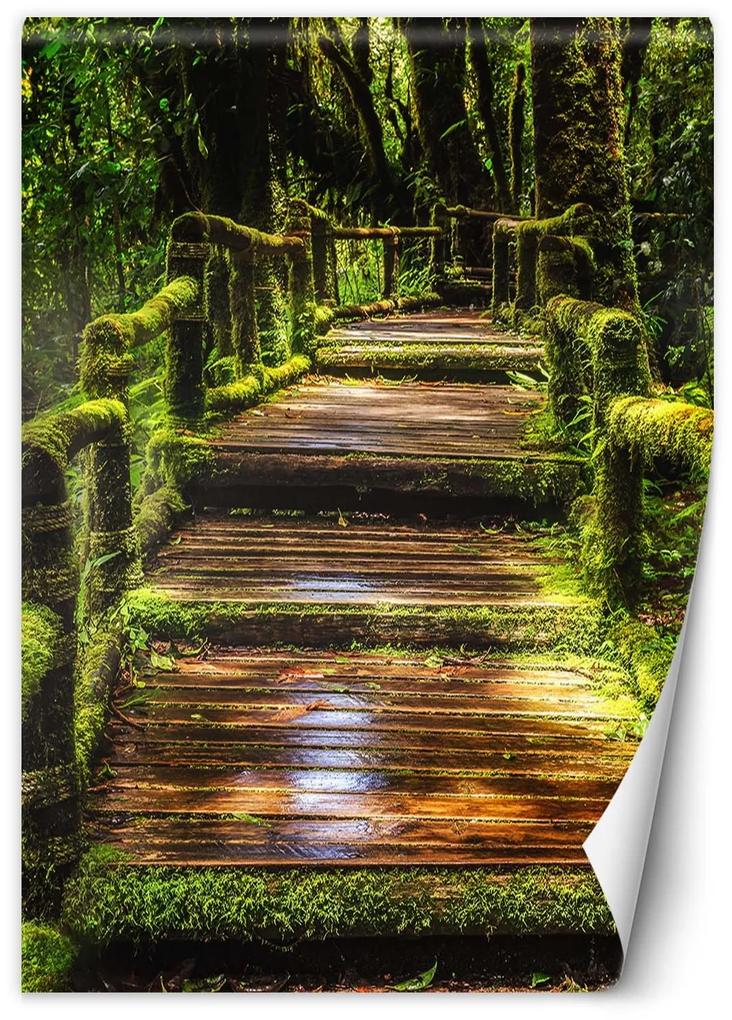 Gario Fototapeta Most v zeleném lese Materiál: Vliesová, Rozměry: 100 x 140 cm