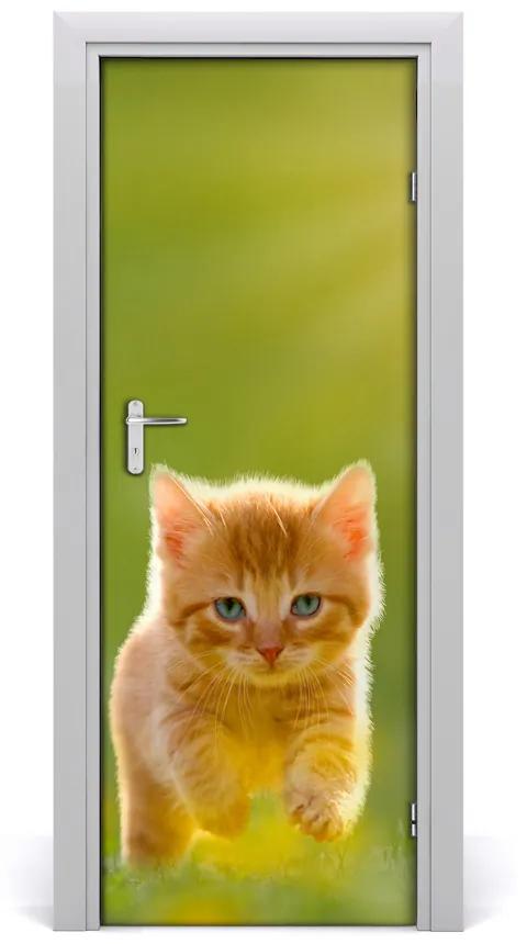 Samolepící fototapeta na dveře Rudá kočka 85x205 cm