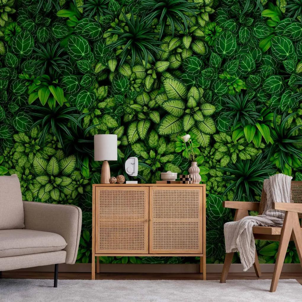 Fototapeta Hustý porost exotiky - vertikální zahrada s různými exotickými rostlinami, zeleně ideální do moderního obývacího pokoje