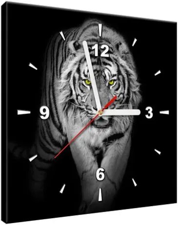 Tištěný obraz s hodinami Nebezpečný tygr ve tmě 30x30cm ZP2359A_1AI