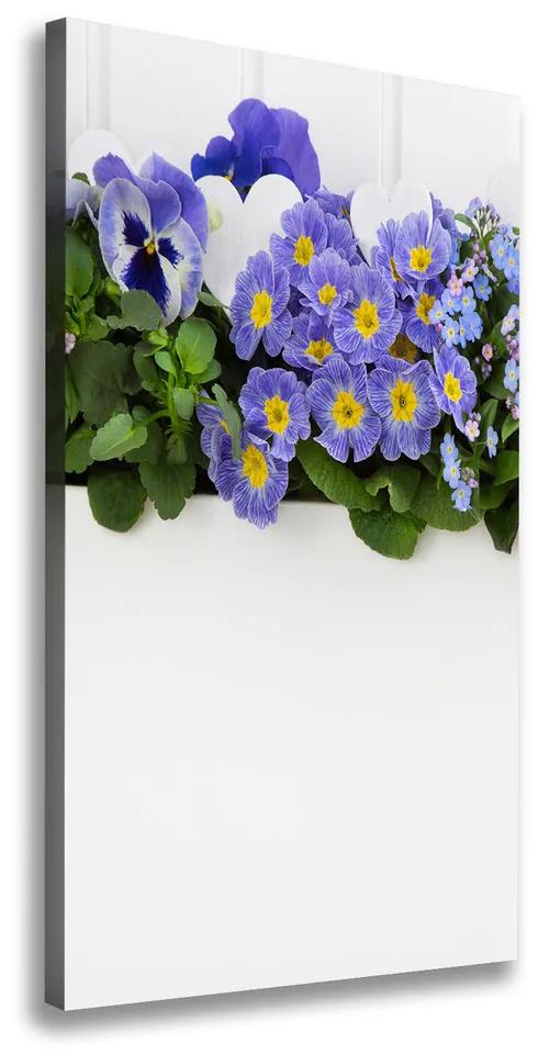 Wallmuralia Foto obraz na plátně Fialové květiny 60x120 cm