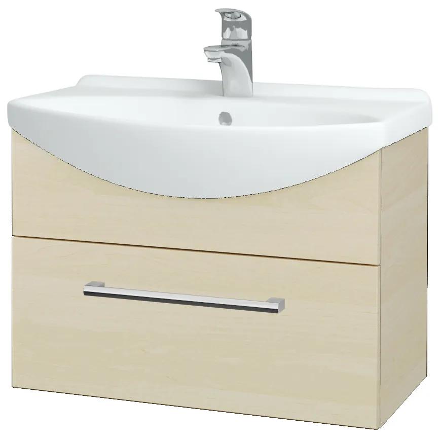 Dřevojas Koupelnová skříň TAKE IT SZZ 65 Varianta: N01 Bílá lesk / Úchytka T04 / D05 Oregon