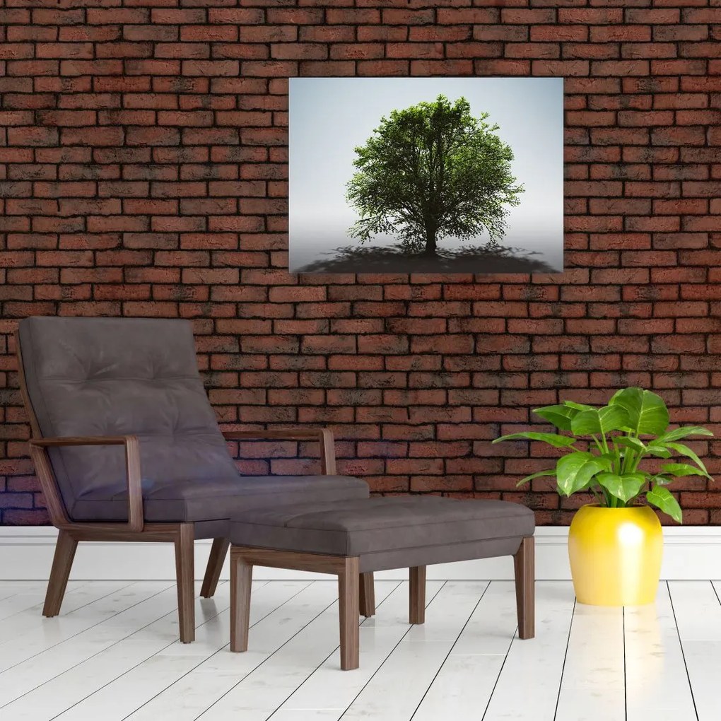Skleněný obraz - Osamocený strom (70x50 cm)