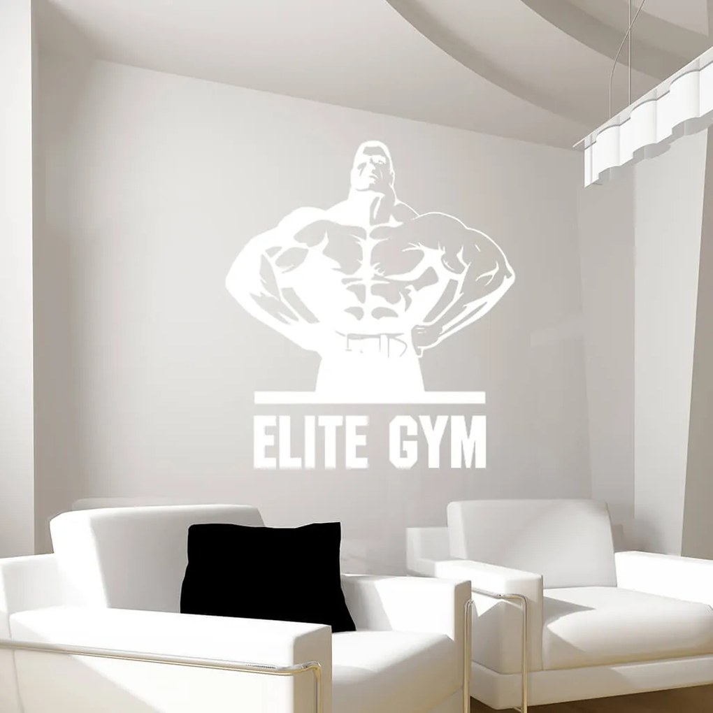 Živá Zeď Samolepka na zeď Elite Gym Barva: černá