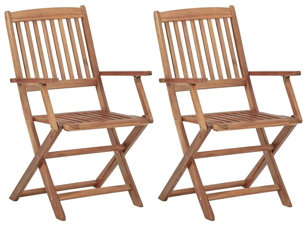 313601 vidaXL Skládací zahradní židle 2 ks masivní akáciové dřevo