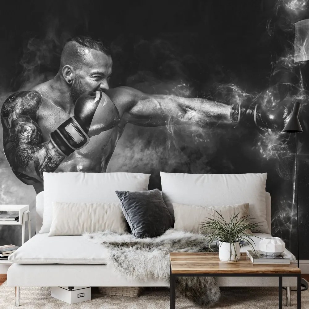 Fototapeta Tréninkový Boxer Hladký vinyl 104x70.5