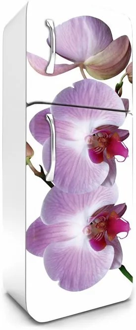 Fototapeta na lednici Orchid 65 x 180 cm FR180-024