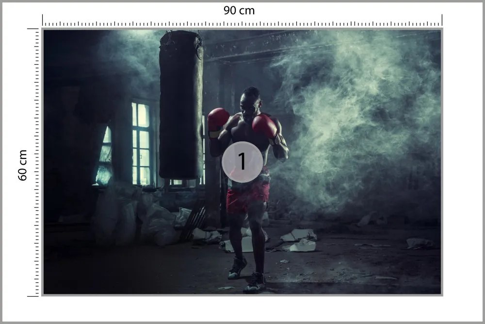 Fototapeta Boxer V Zakouřené Místnosti Samolepící tapety 90x60