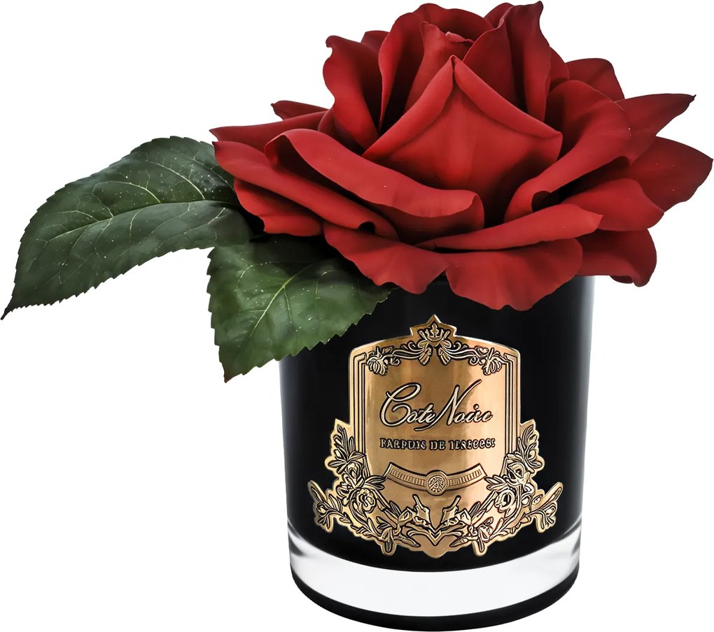 Côte Noire Parfémovaná růže French Rose Carmine Red