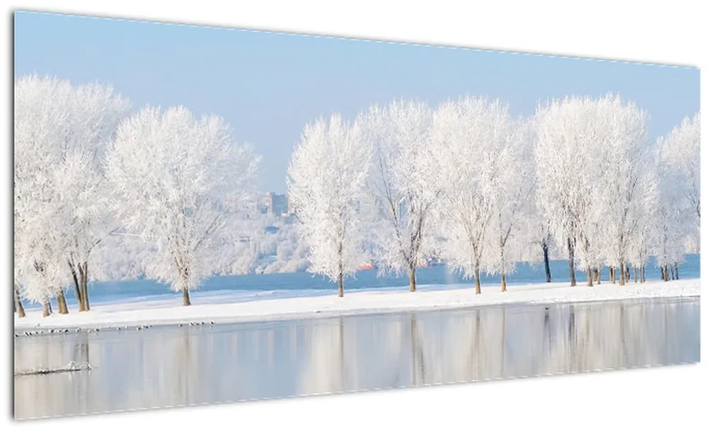 Obraz - zimní příroda (100x40cm) | BIANO