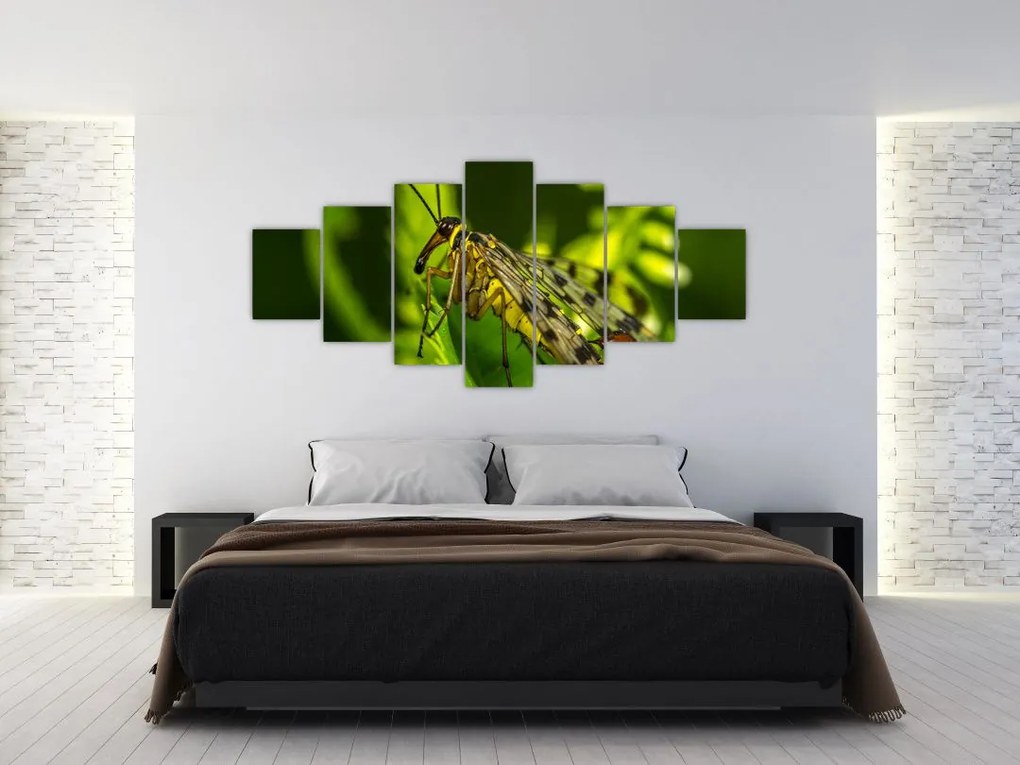 Obraz hmyzu (210x100 cm)