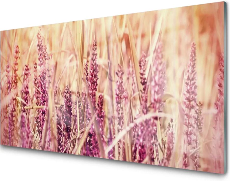 Skleněný obraz Pšenice Rostlina Příroda