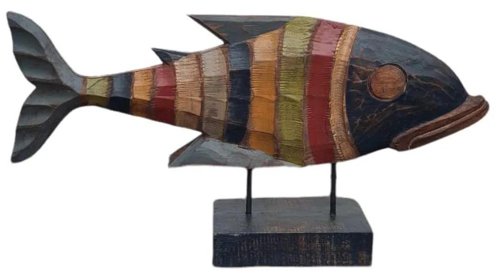 Ryba bojovnice barevná 75 cm