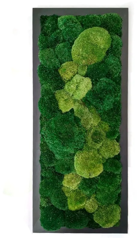 WOODILO Mechový obraz v  rámu z masivu 108 | kopečkový mech Rozměr obrazu: 110x45 cm, Barva rámu: Přírodní (světlé dřevo), Síla rámu (pohledová): 2,5 cm
