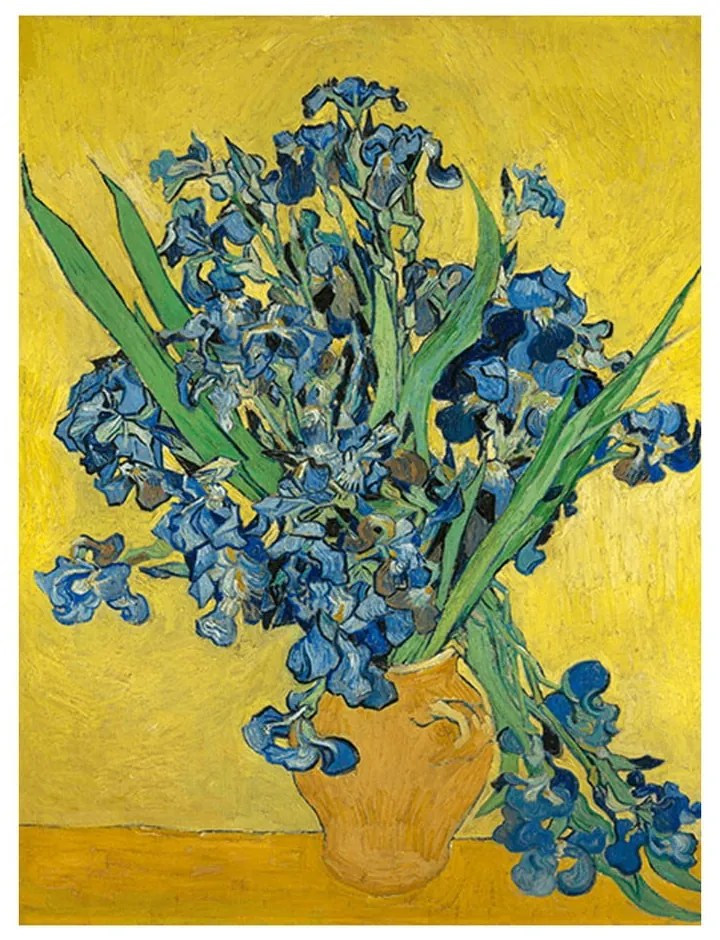 Reprodukce obrazu Vincenta van Gogha - Irises, 60 x 45 cm