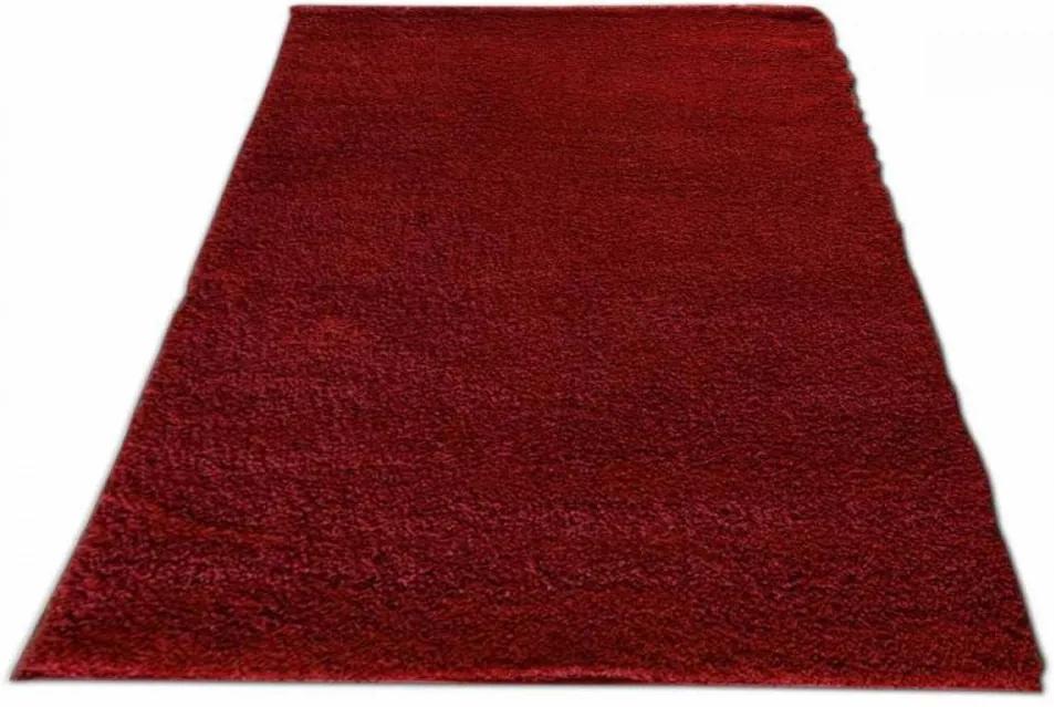 Kusový koberec Shaggy vlas 50 mm červený, Velikosti 120x170cm