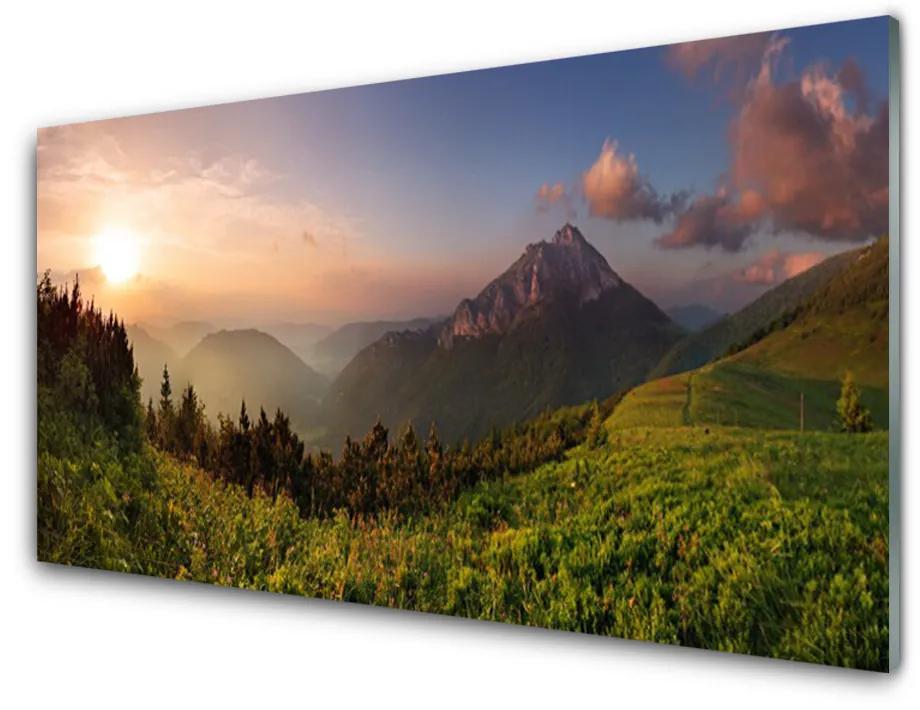Obraz na skle Hora Les Příroda 120x60 cm