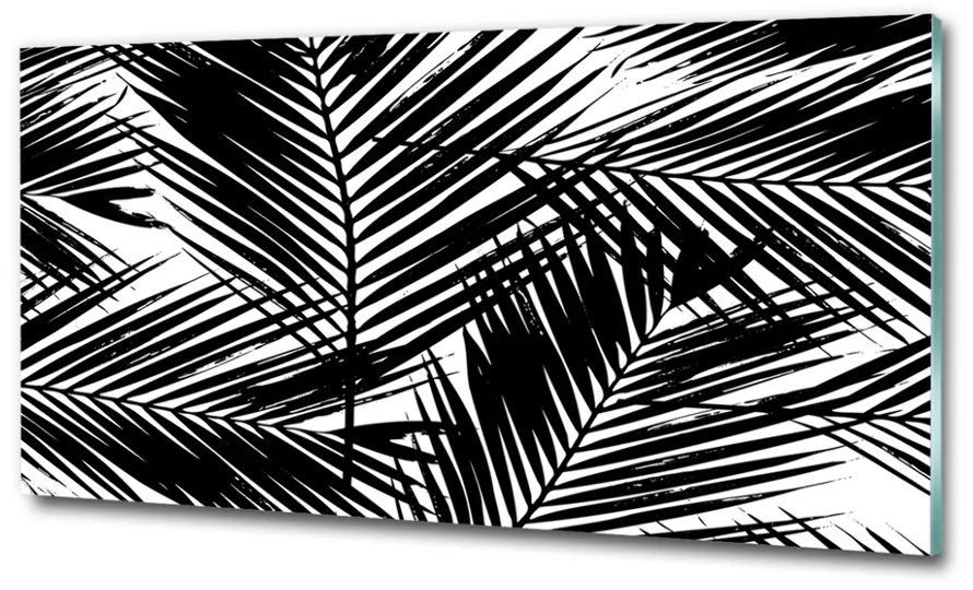 Wallmuralia Foto obraz sklo tvrzené Listí palmy 100x50