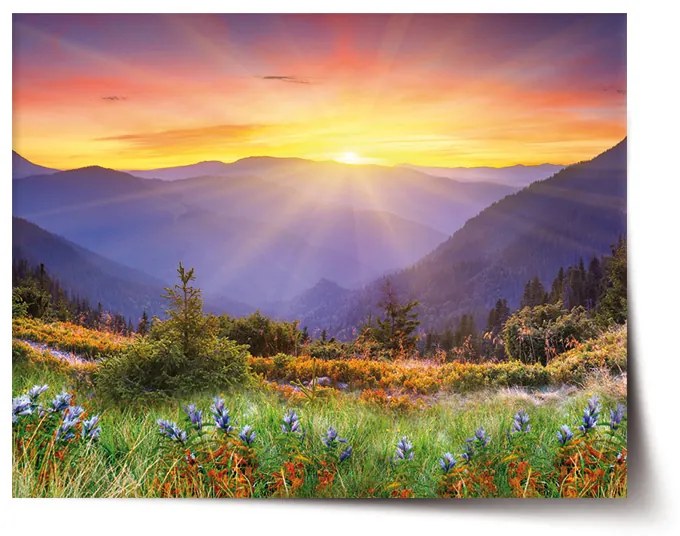 Sablio Plakát Západ slunce nad lesem - 120x80 cm