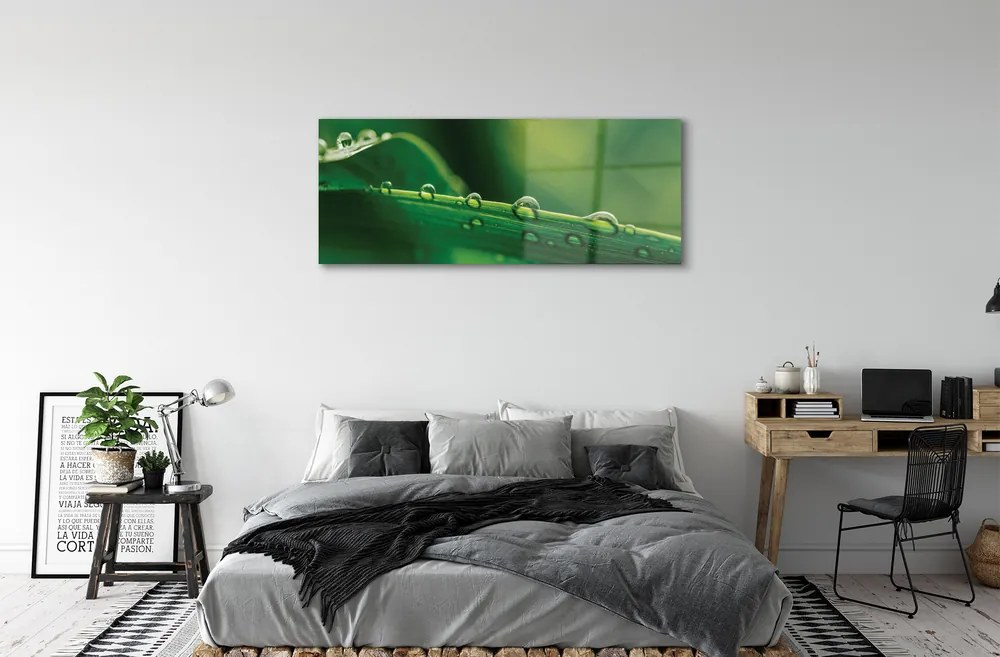 akrylový obraz Kapky tráva makro 120x60 cm