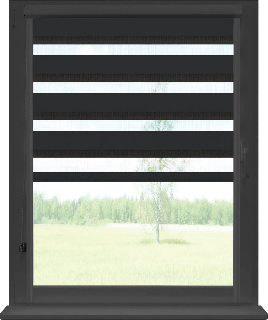 Dekodum Roleta den a noc v antracitové kazetě soft, barva látky Černá Šířka (cm): 69, Výška (cm): Standardní (do 150 cm), Strana mechanismu: Levá