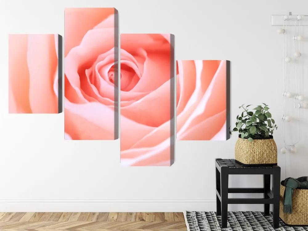 Vícedílný obraz Pastelová Růže Na 3D Makro Měřítku Nedostatek Nedostatek Plátno Canvas 160x100